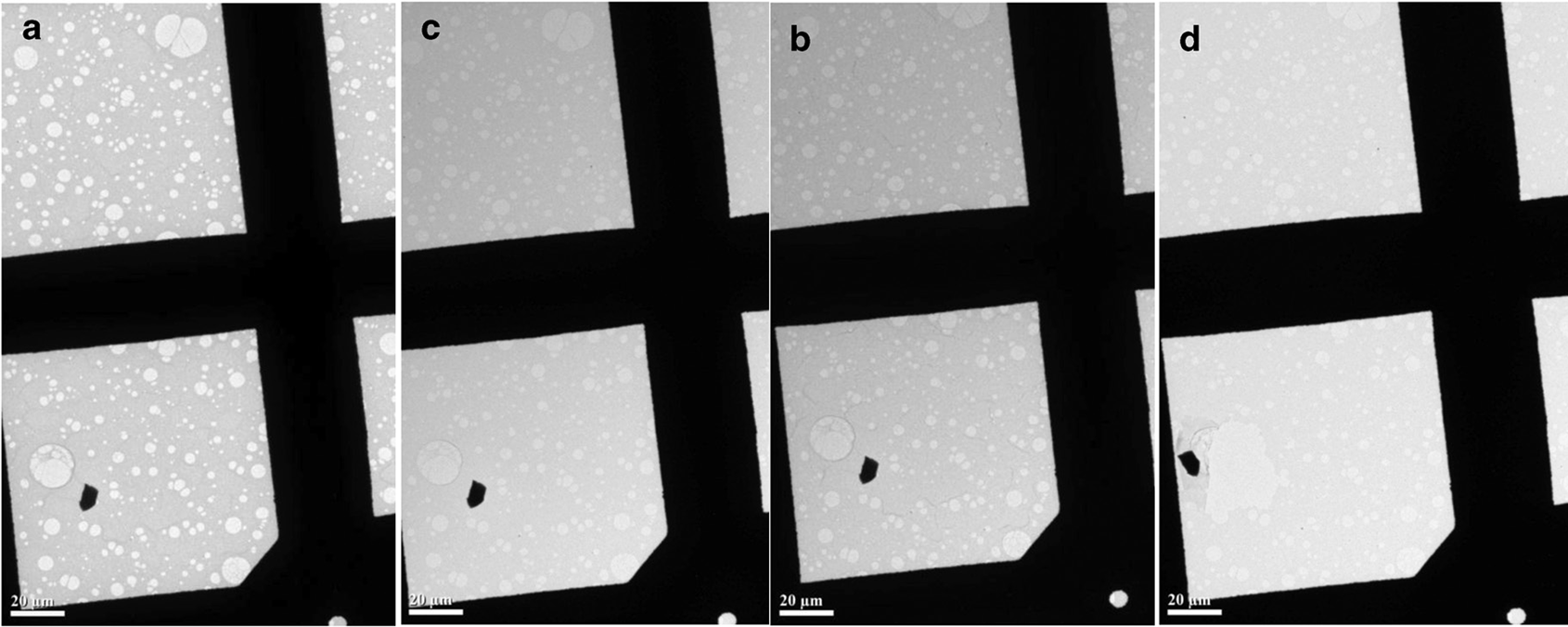 Downstream Plasma Technology for TEM Report – ibss Group